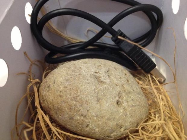 mascota-piedra-usb-pet-rock-4